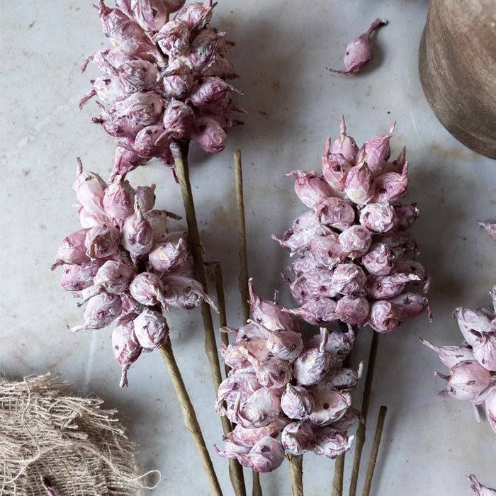 Heirloom Thistle Stem – Bird & Brass